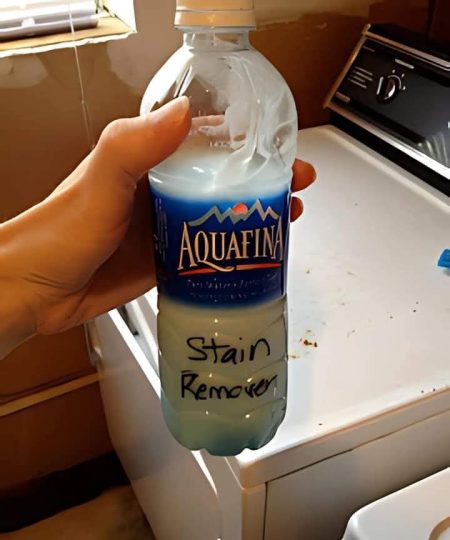 DIY Stain Remover Recipe: Hydrogen Peroxide, Dawn, and Baking Soda ...